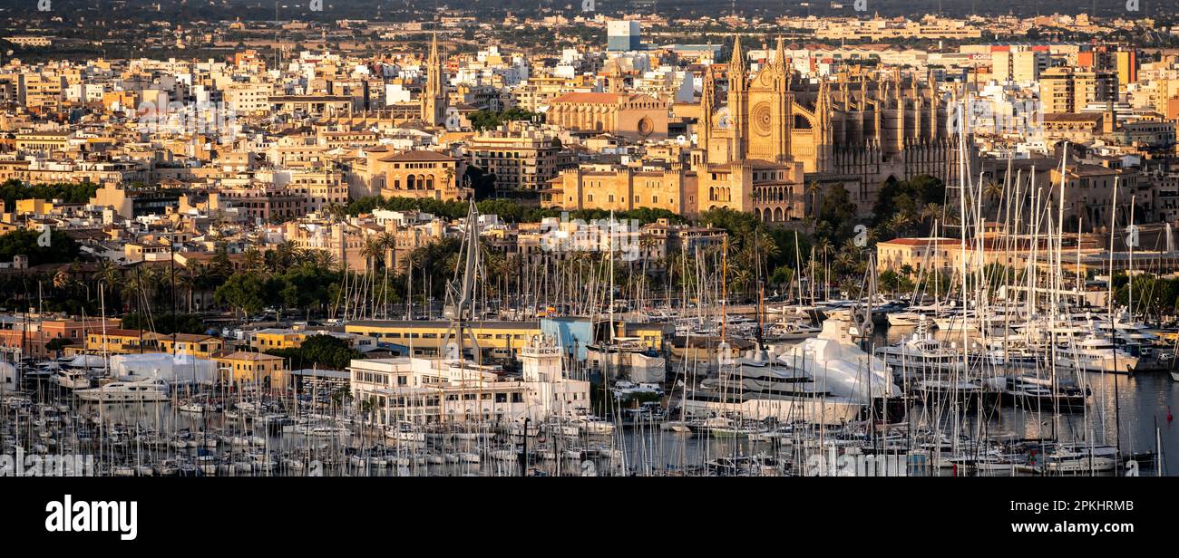 View over Palma de Majorca in the evening light, with harbour with ...