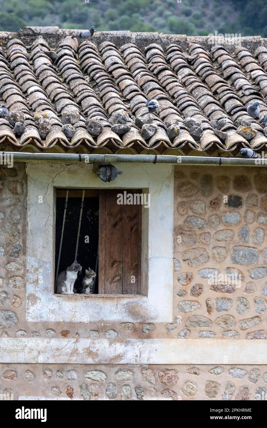 Sit house hi-res stock photography and images - Alamy