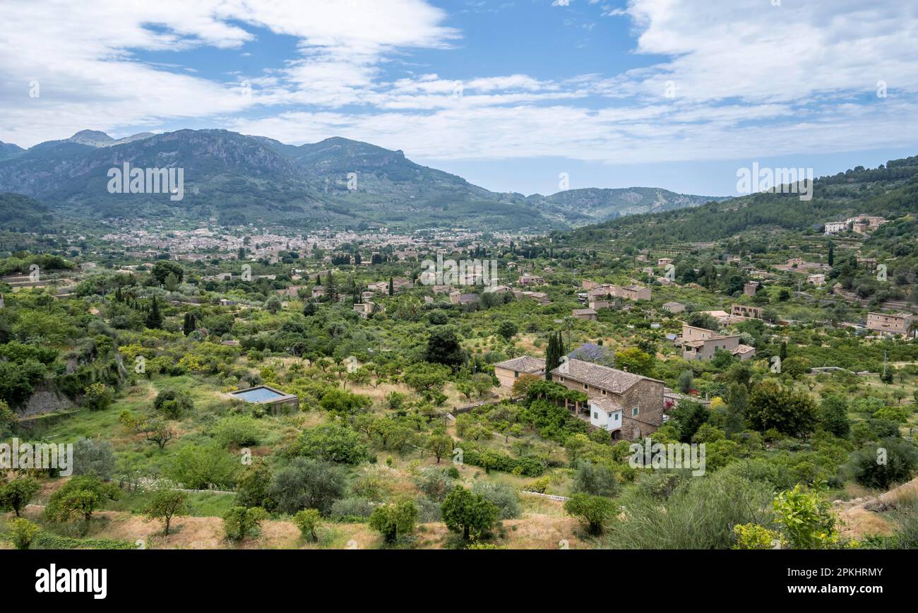 View of olive groves and fincas, Soller village at the back, hiking ...
