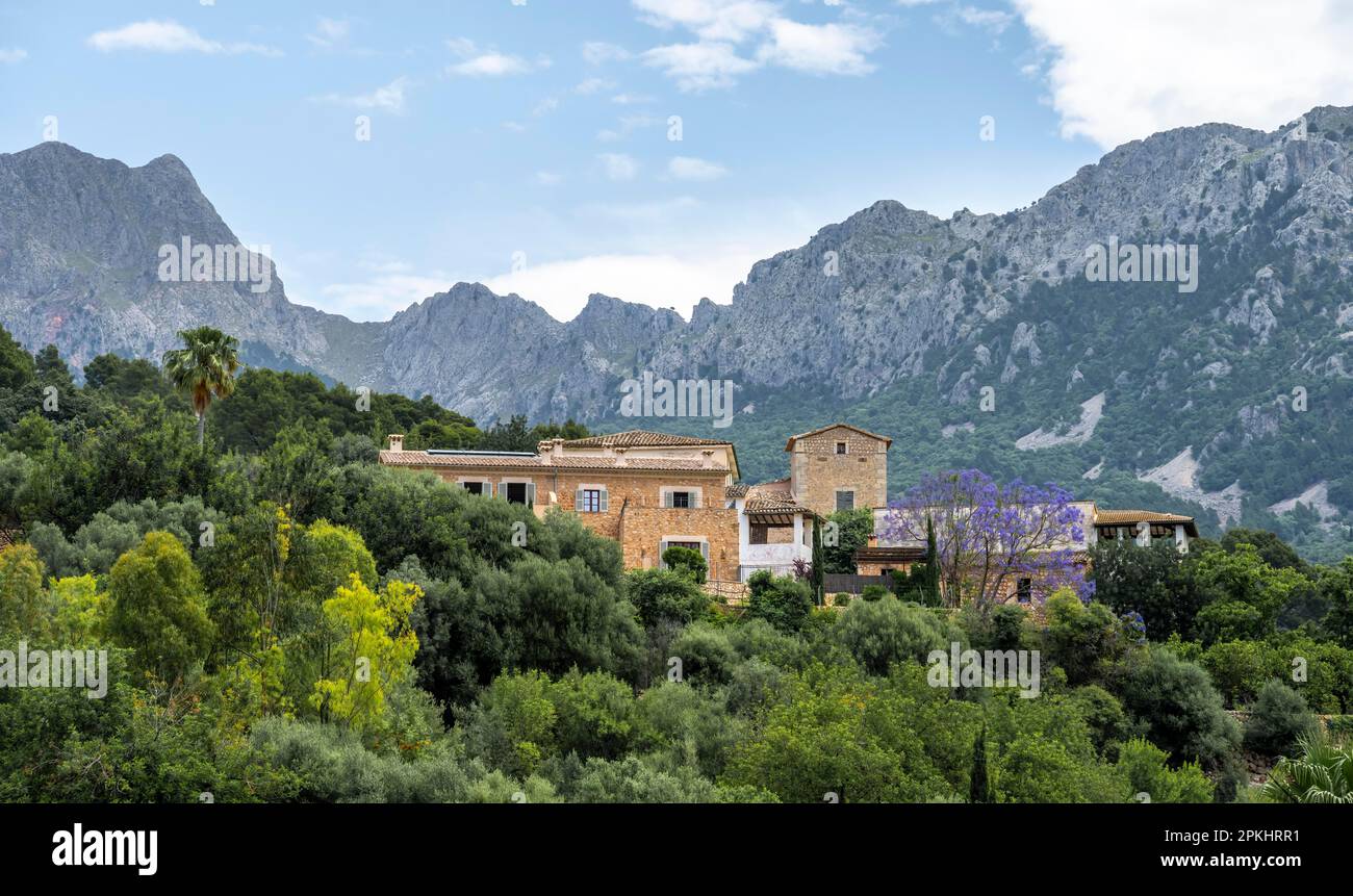 Typical houses of the mountain village Binibassi, view of rocky ...