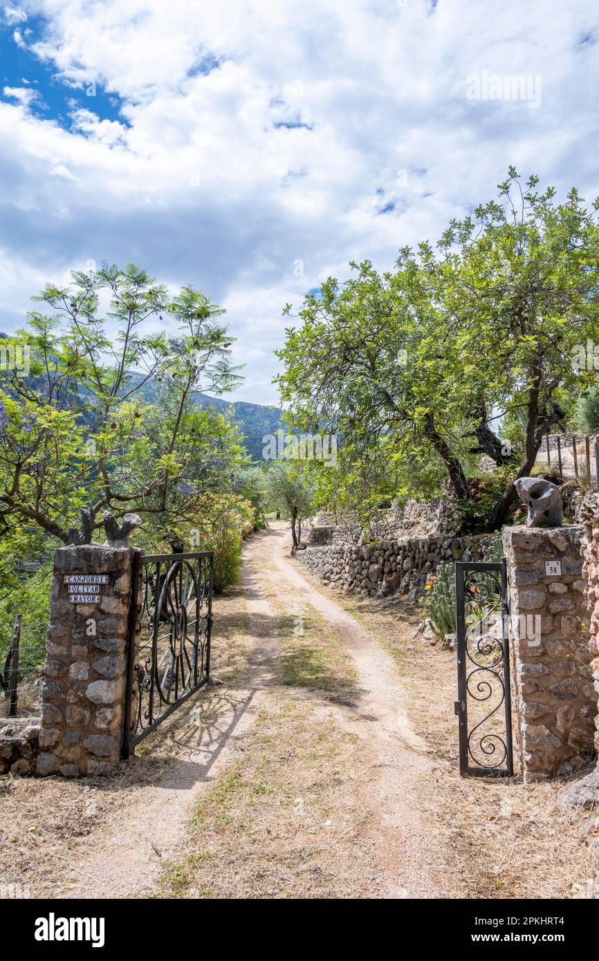 Drive to a plantation with olive trees, hiking trail from Soller to ...