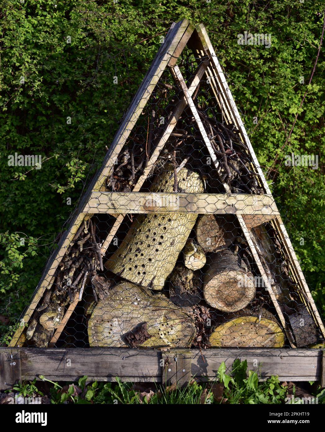 Bug house hi-res stock photography and images - Alamy