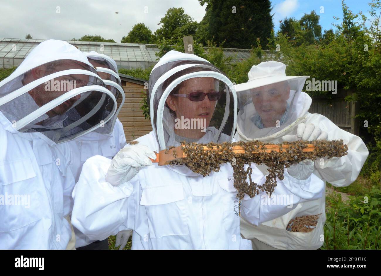 Beekeeping activities hi-res stock photography and images - Alamy