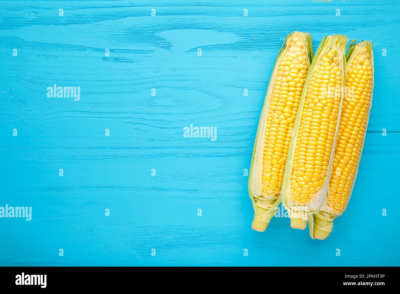 Three fresh corn on blue background with copy space. Top view Stock ...