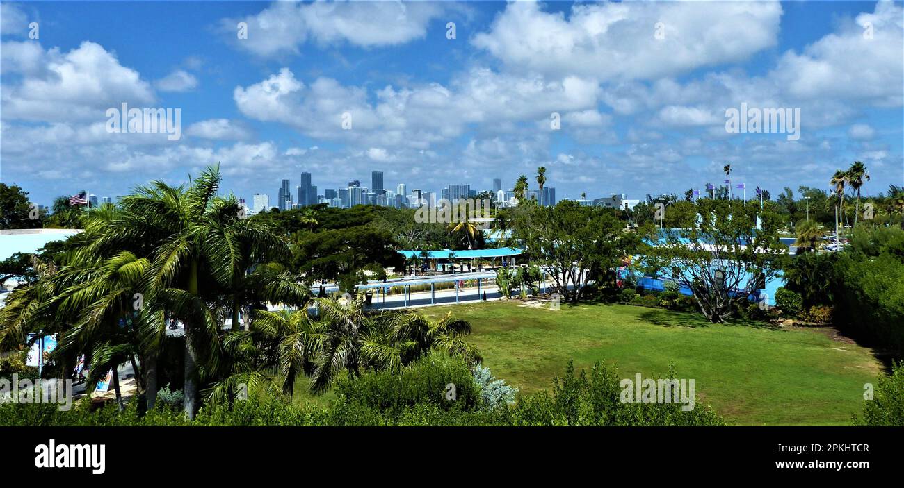 Miami city scape hi-res stock photography and images - Alamy