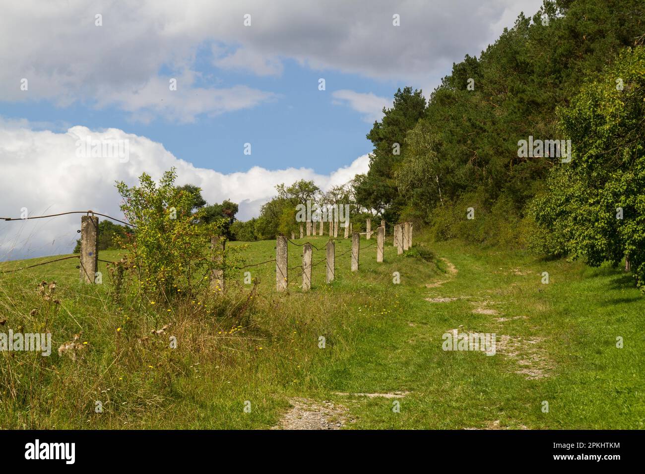 Meadow path in the Harz Mountains Stock Photo - Alamy