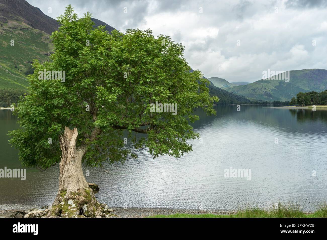View of Buttermere Stock Photo - Alamy