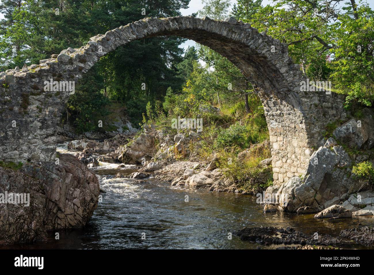 The Packhorse Bridge at Carrbridge Stock Photo - Alamy
