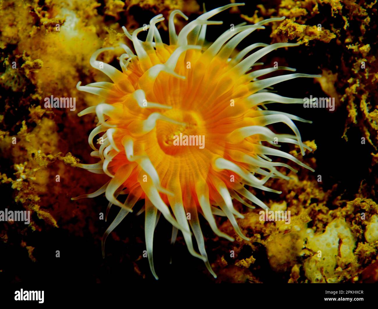 Maharees islands hi-res stock photography and images - Alamy