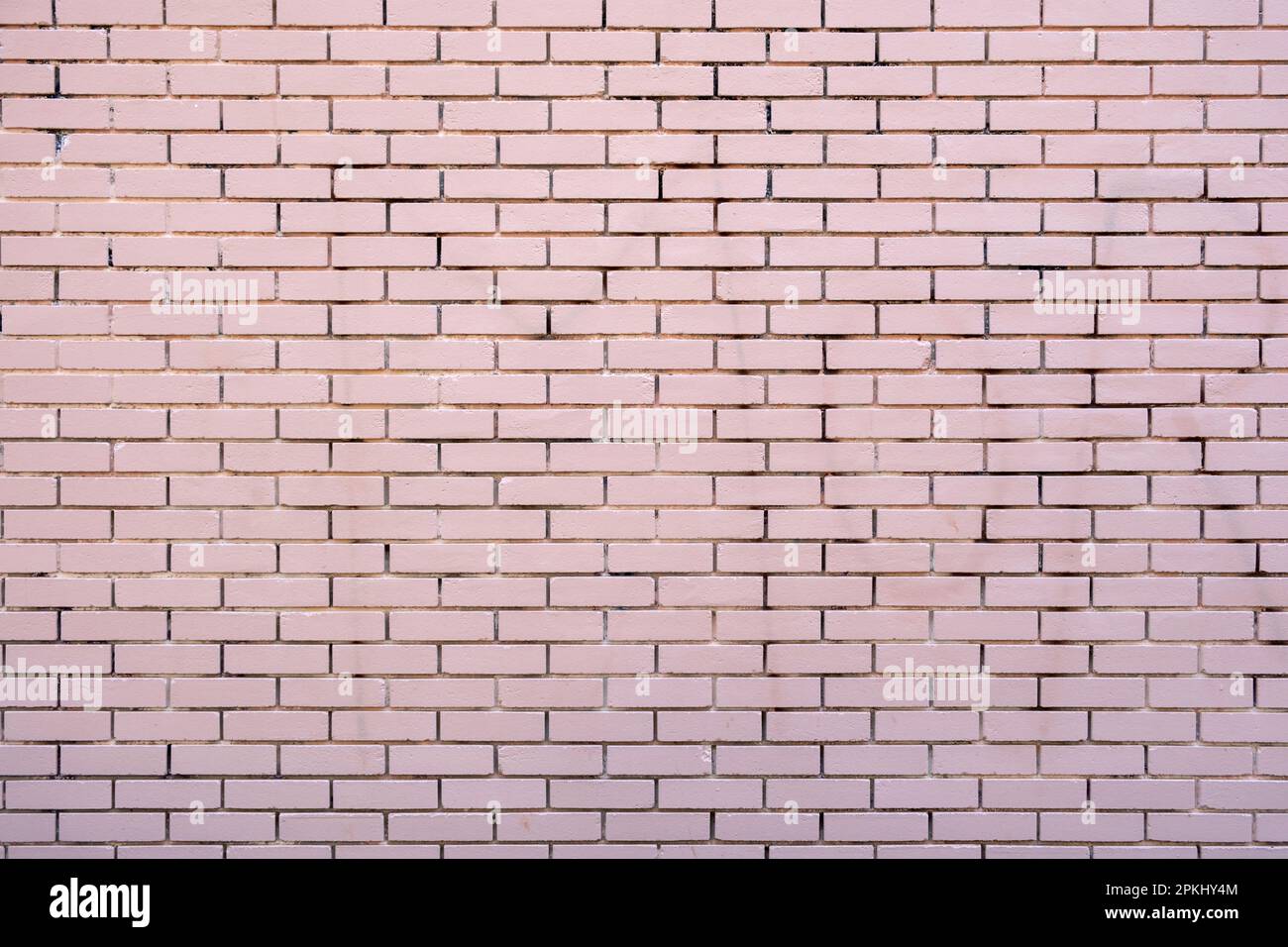 Empty brickwall background texture. Brickwork with row of pink color ...