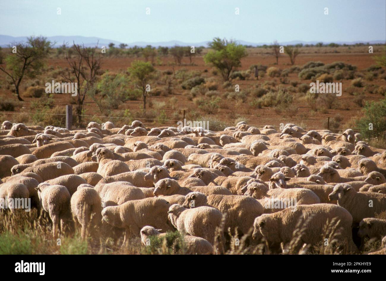 Port augusta australia hi-res stock photography and images - Alamy