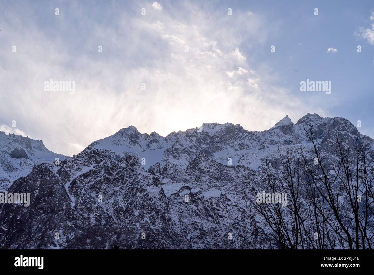 snow covered himalaya mountains with coniferous trees in front and a ...