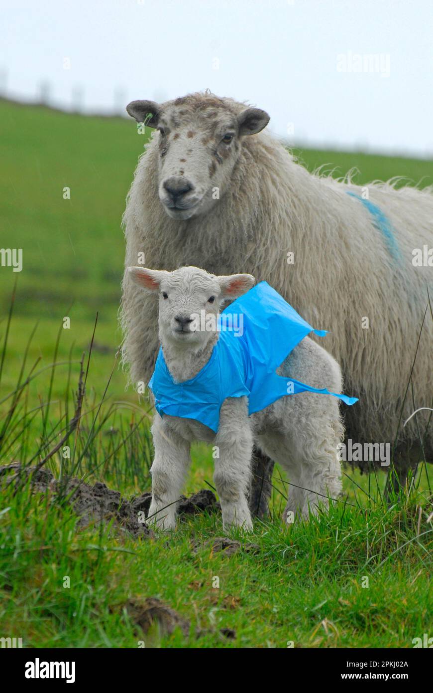 Wet weather coat hi-res stock photography and images - Alamy