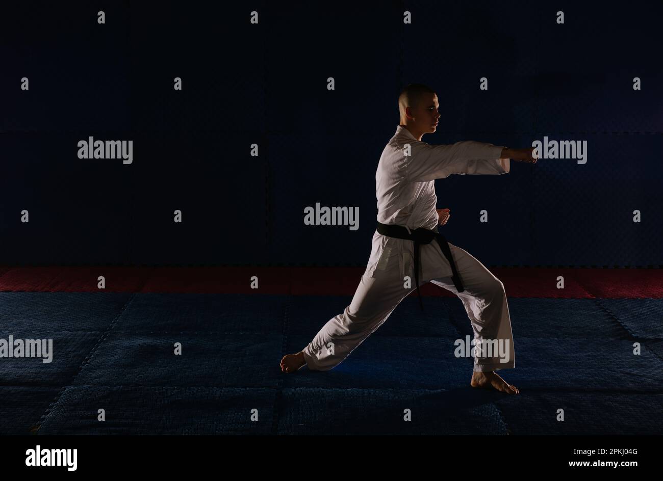 Silhouette of a young karatist with black belt doing Choku Zuki at the ...