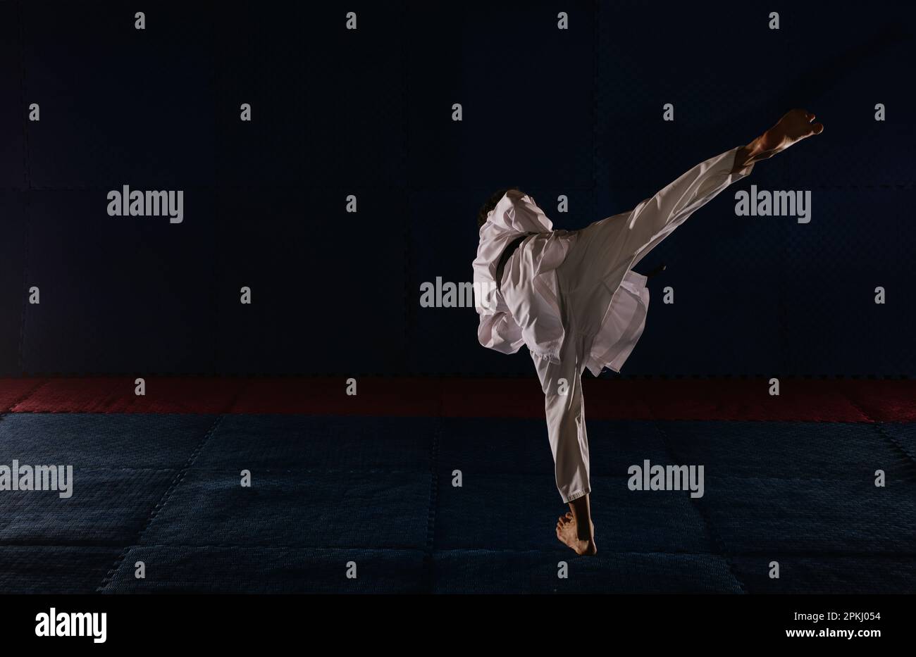 Young karatist with black belt doing the Ushiro Geri pose at the karate ...