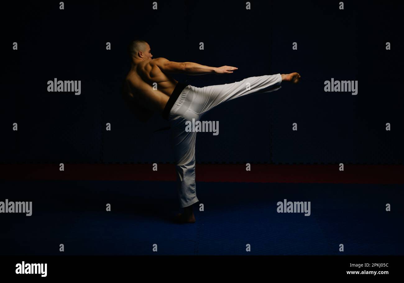 Good looking teen boy doing the Ushiro Geri pose at the karate studio ...