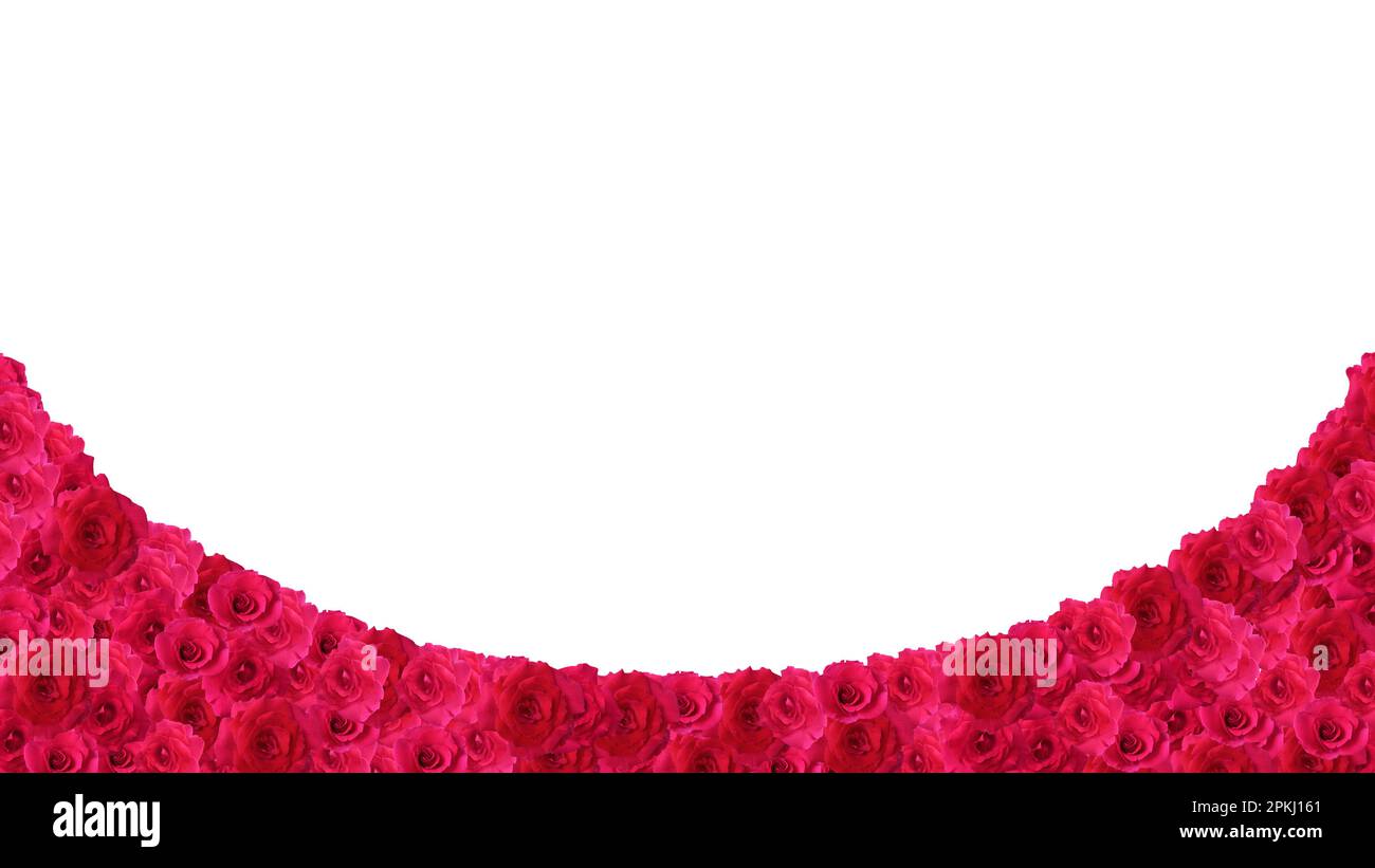Red roses border frame isolated on white background with copy space for ...
