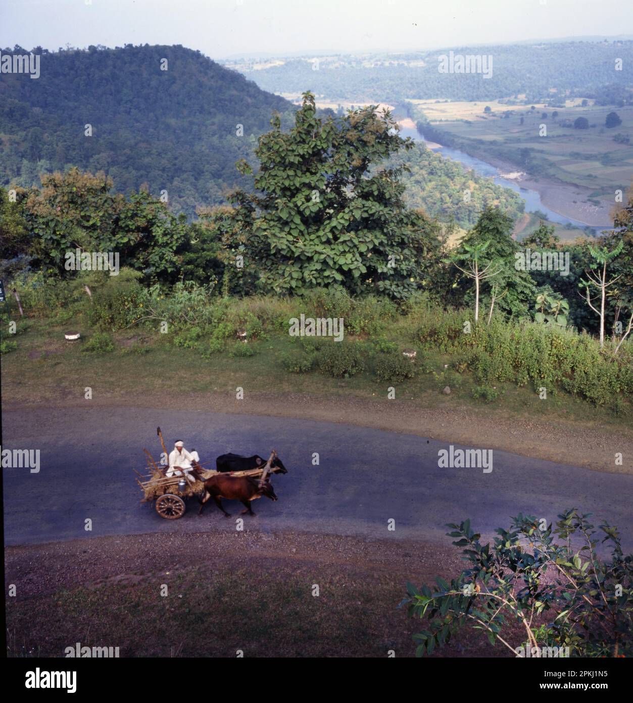 Traffic, here in New Delhi, Agra and Central India in October 1999, by ...