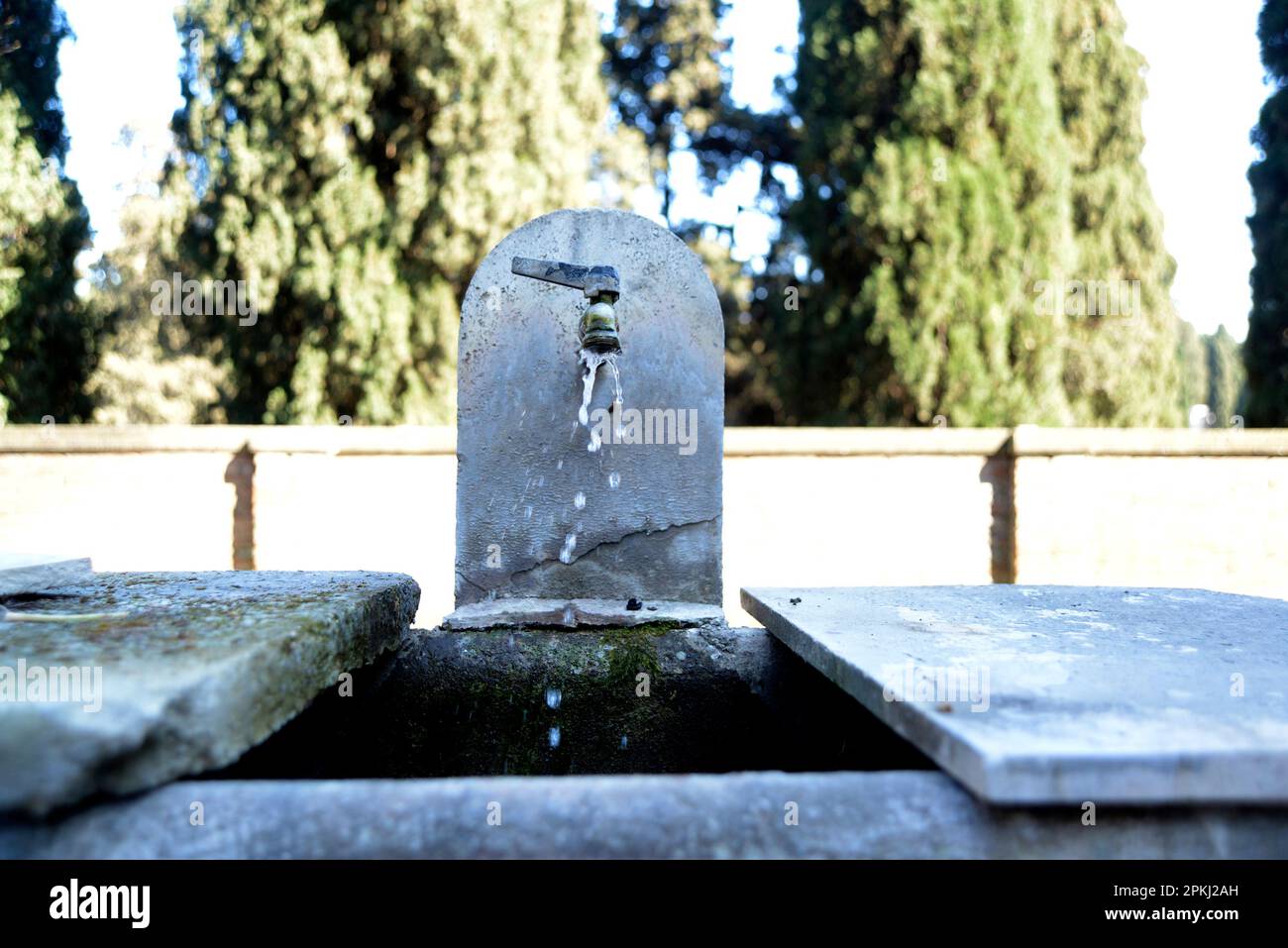 il cimitero monumentale Verano riversa nel degrado assoluto Stock Photo ...