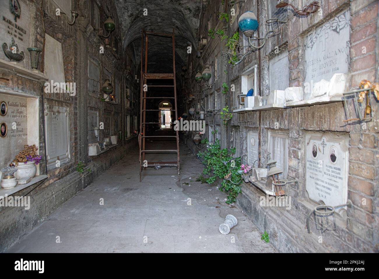 il cimitero monumentale Verano riversa nel degrado assoluto Stock Photo ...