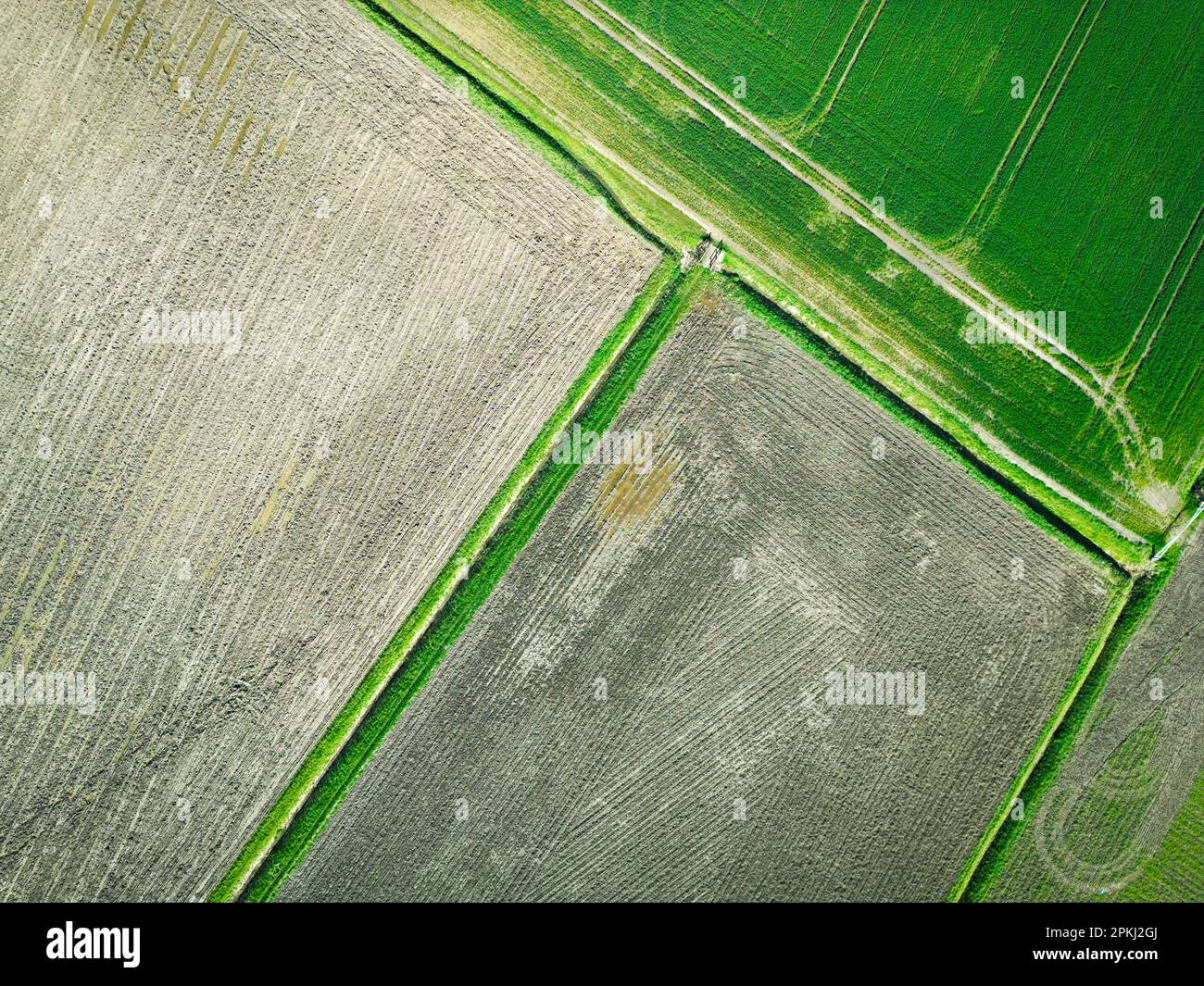 Drone top down view of farm fields showing both fresh crops growing a ...