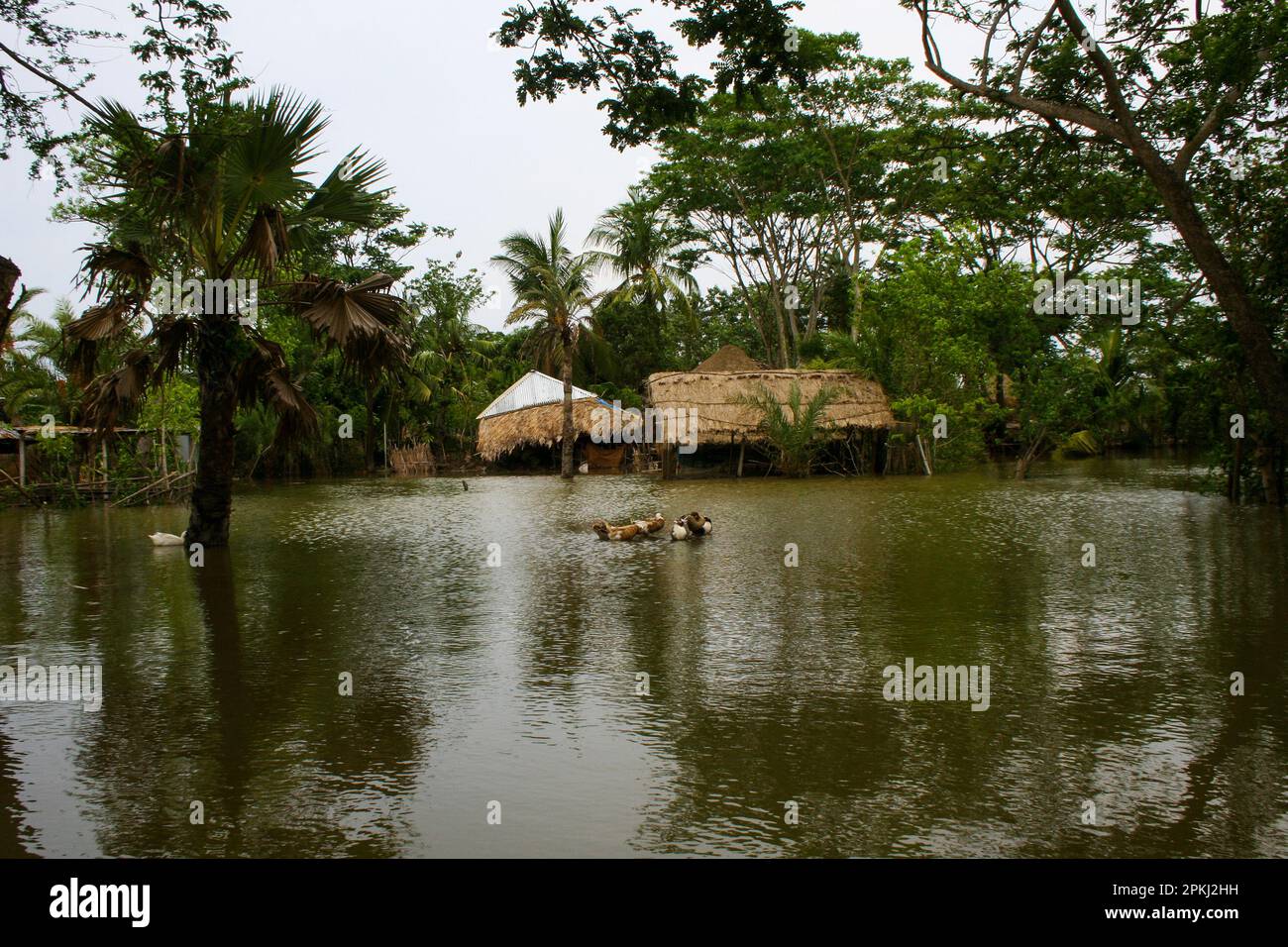 Cyclone Aila affected village at Khulna, Bangladesh Stock Photo - Alamy