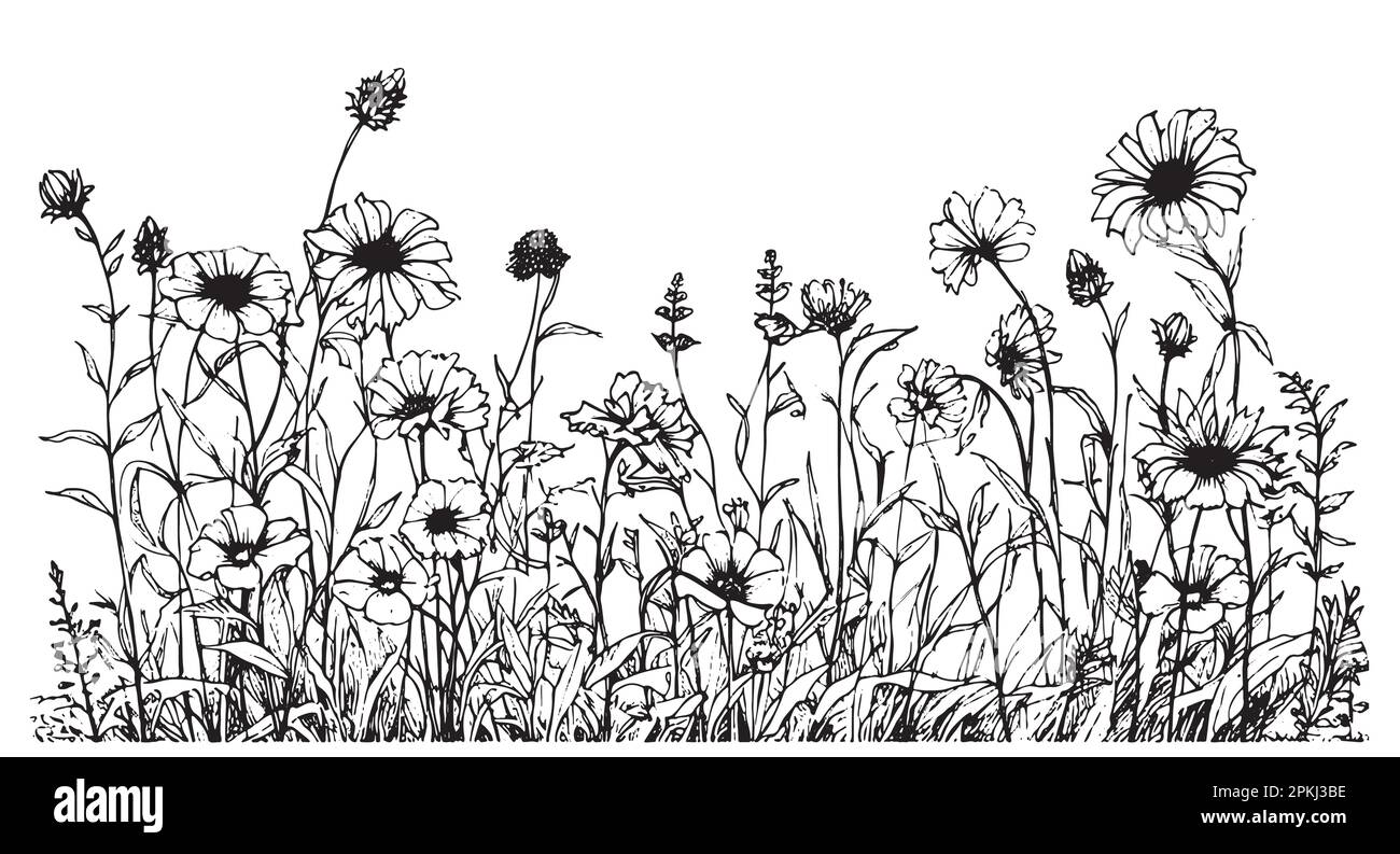 Wild flower field border hand drawn sketch in doodle style illustration ...