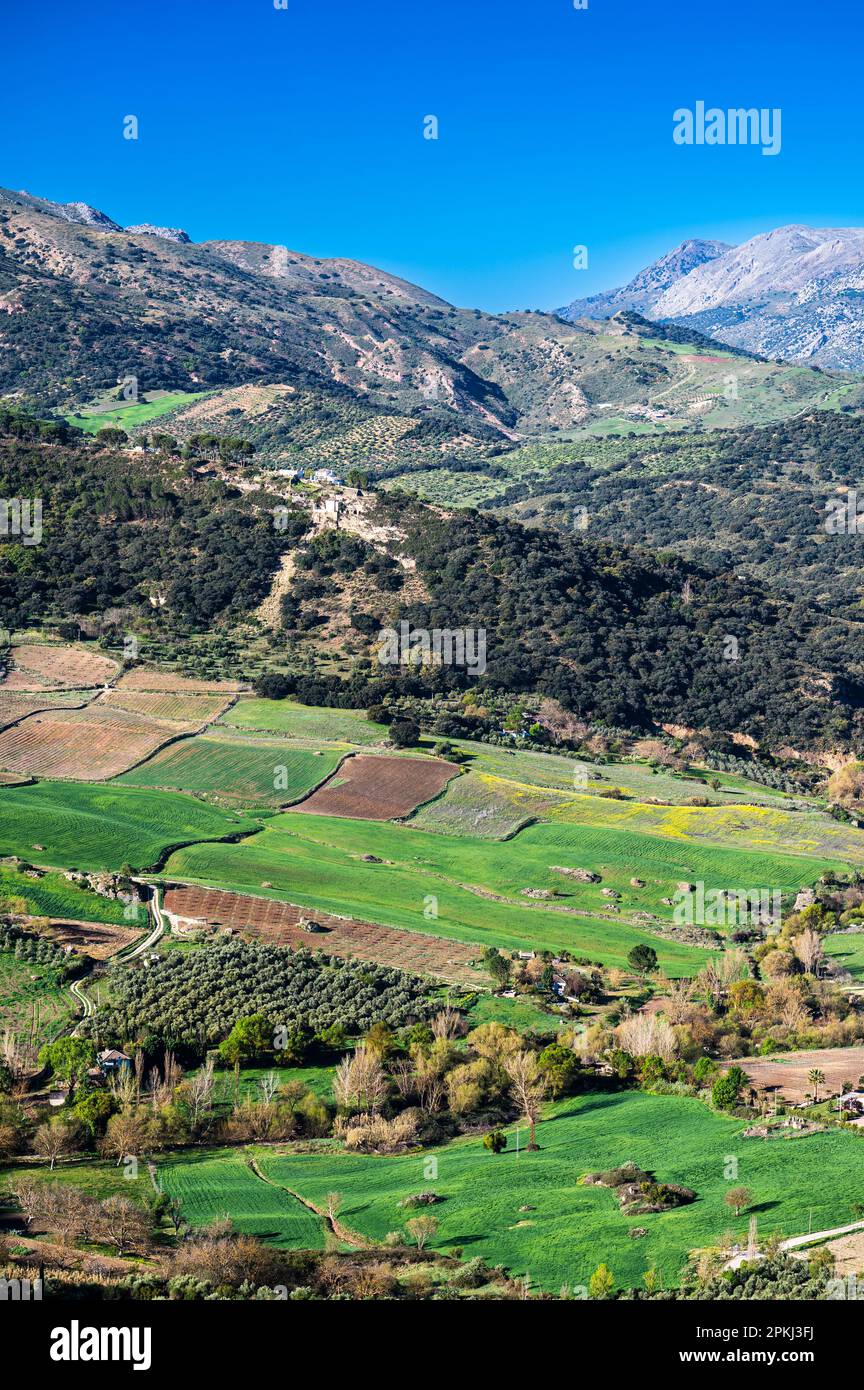 Typical Andalusian landscape near the city of Ronda Stock Photo - Alamy