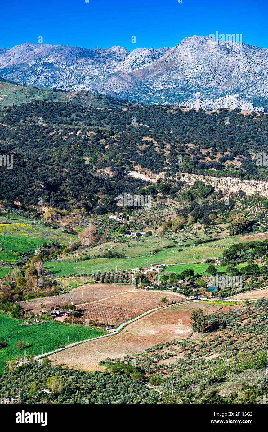 Typical Andalusian landscape near the city of Ronda Stock Photo - Alamy