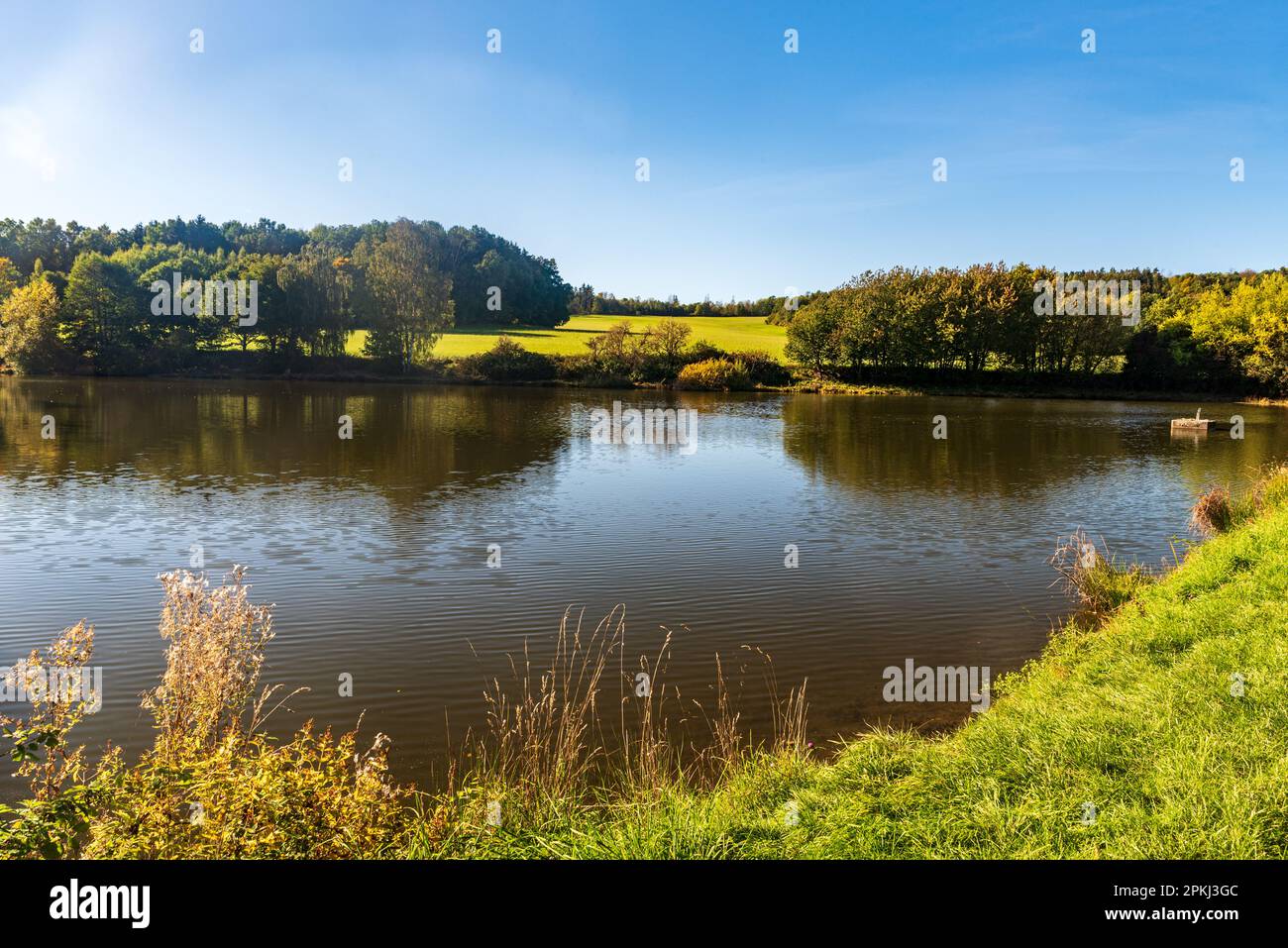 Early autumn rural landscape with pond, trees, meadows, and blue sky ...