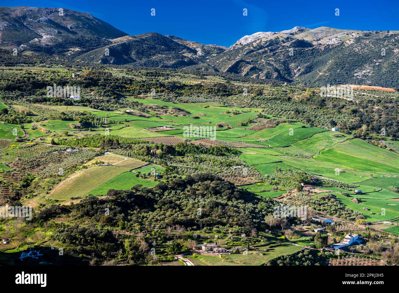 Typical Andalusian landscape near the city of Ronda Stock Photo - Alamy