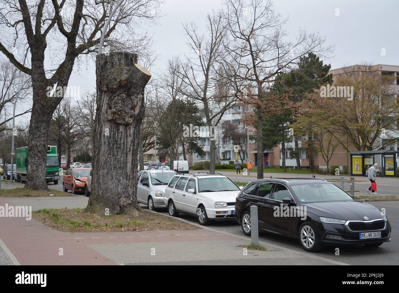 Berlin, Germany - April 7, 2023 - Tree stump at Buckower Damm in Berlin ...