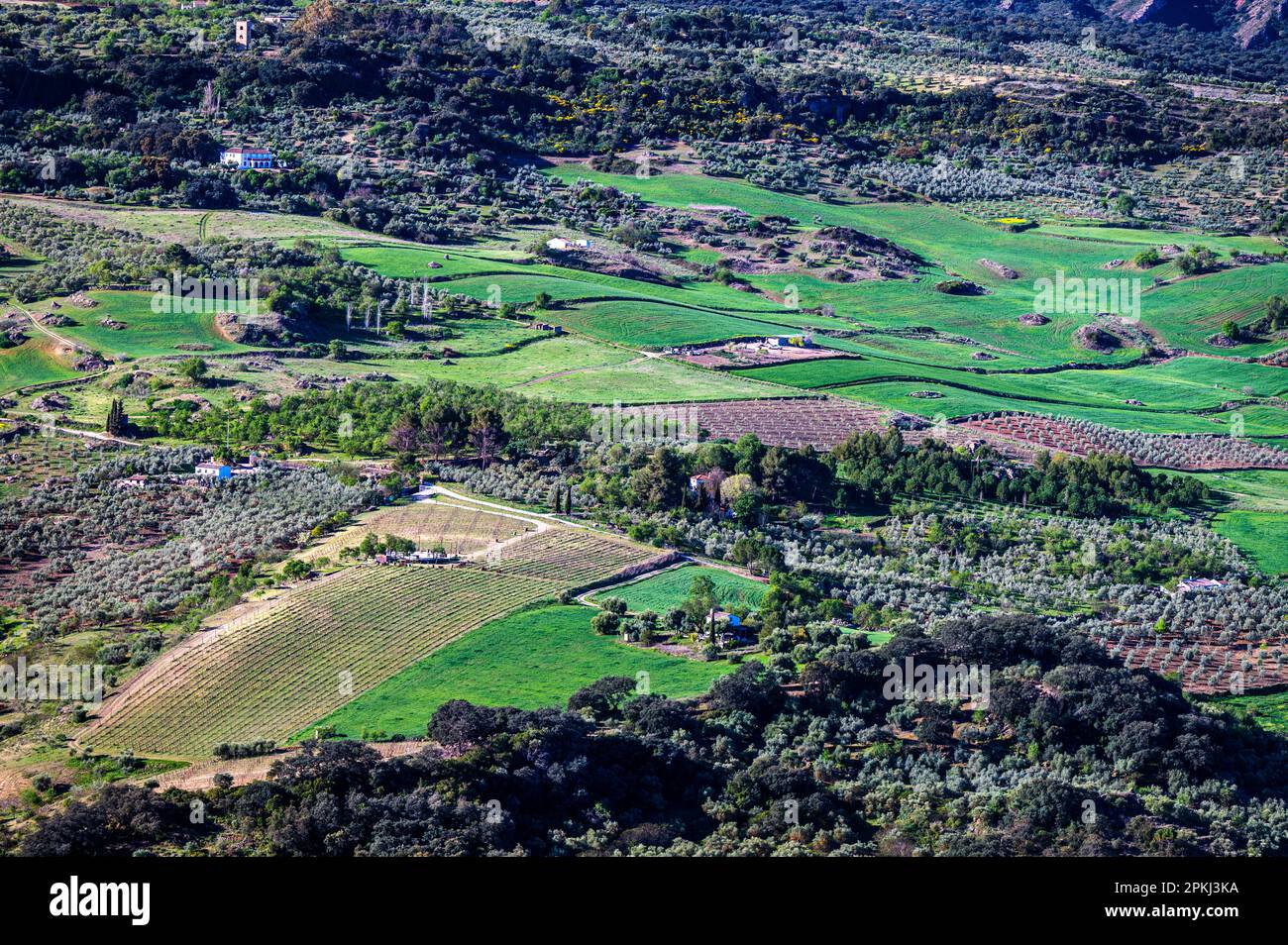 Typical Andalusian landscape near the city of Ronda Stock Photo - Alamy