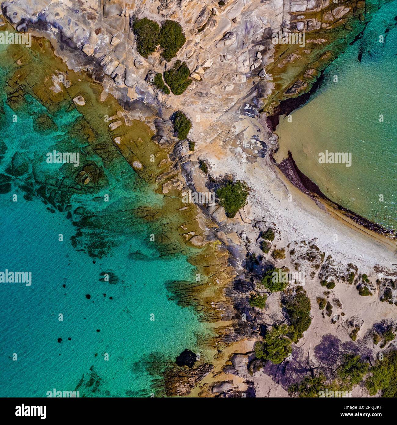 Karidi hi-res stock photography and images - Alamy