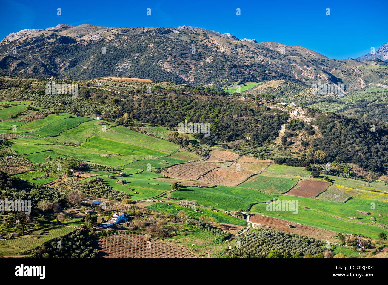 Typical Andalusian landscape near the city of Ronda Stock Photo - Alamy
