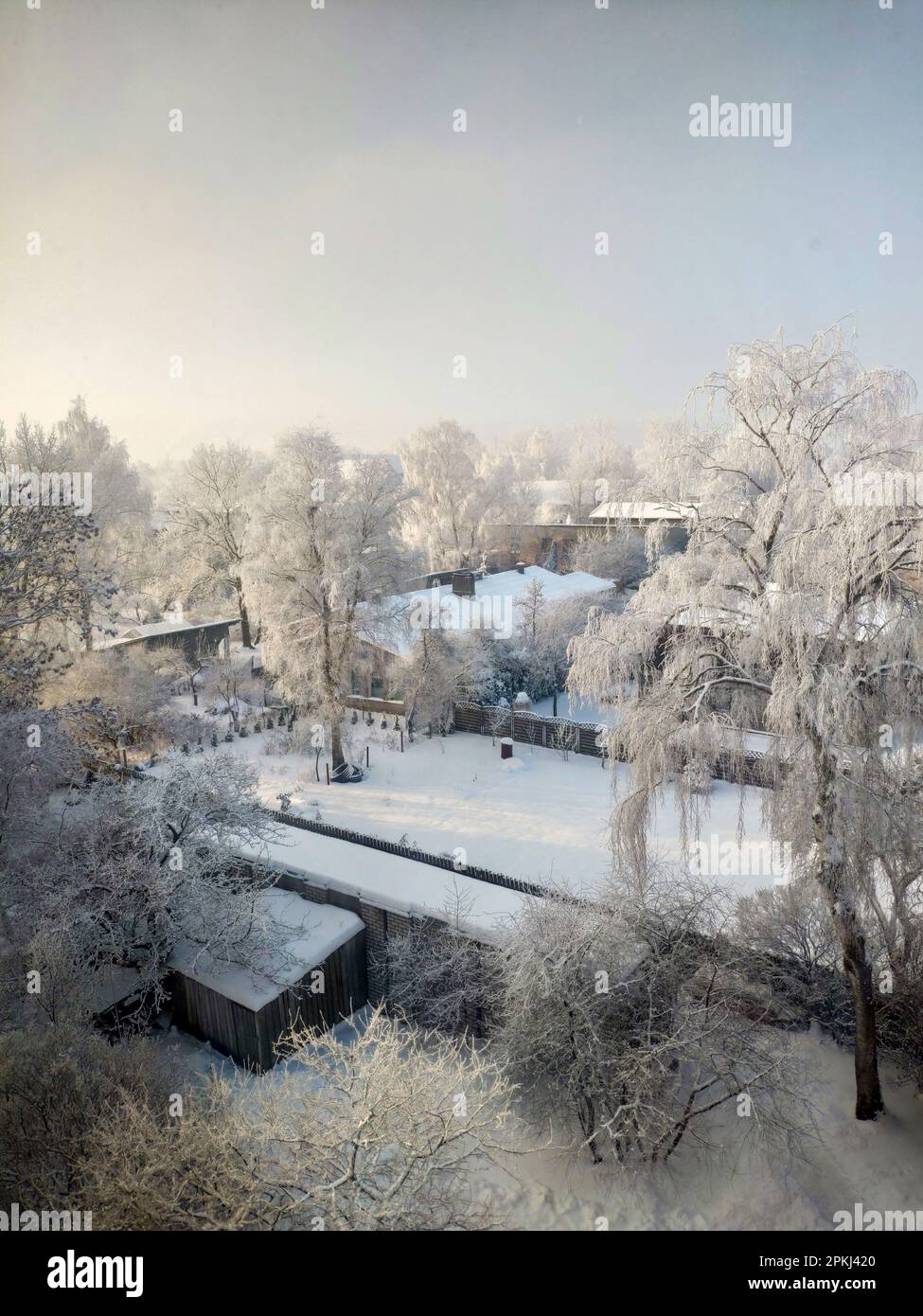 Trees from above with snow in winter hi-res stock photography and ...