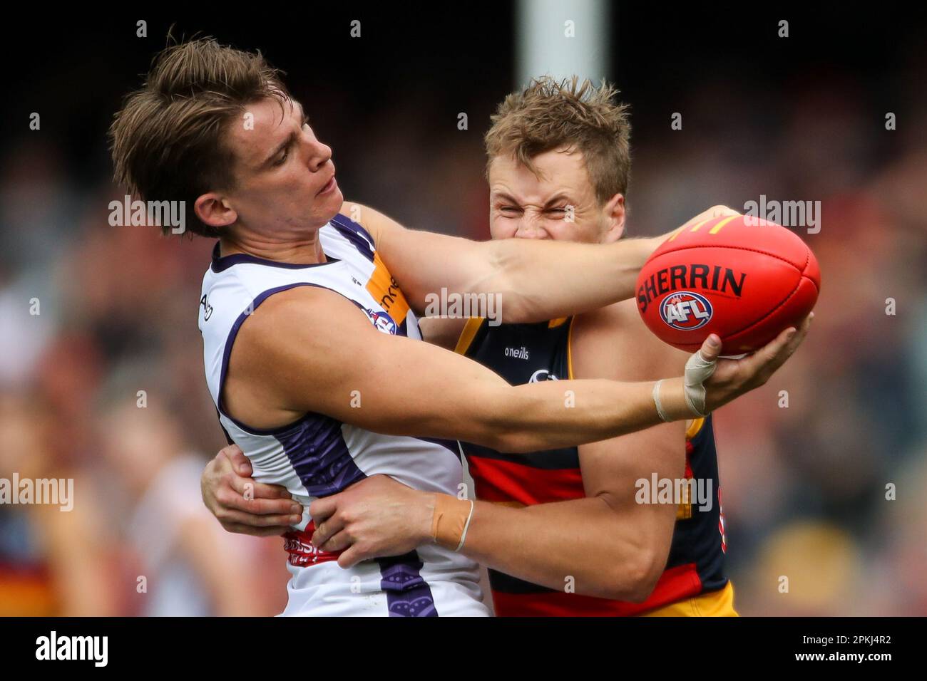 Caleb Serong of the Dockers is tackled by Jordan Dawson of the Crows ...