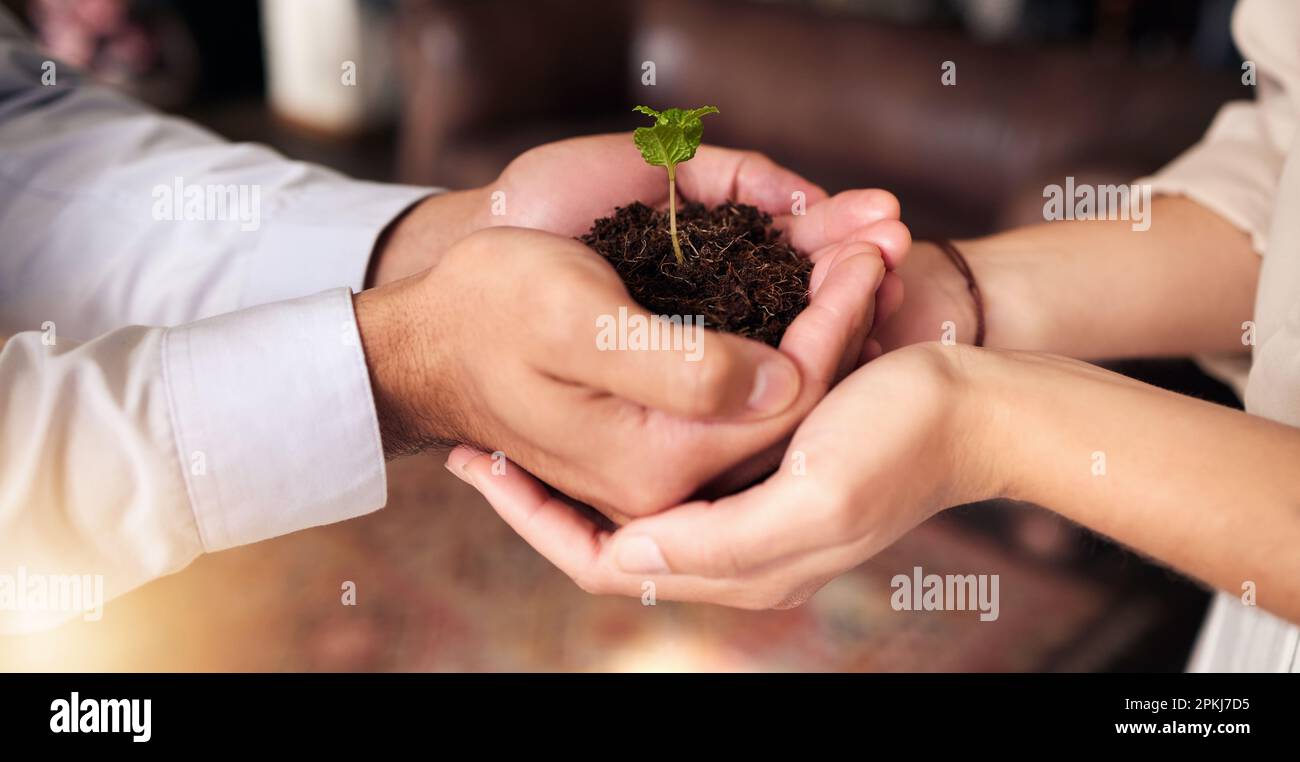 Plant in people or partner hands for business growth, eco friendly ...