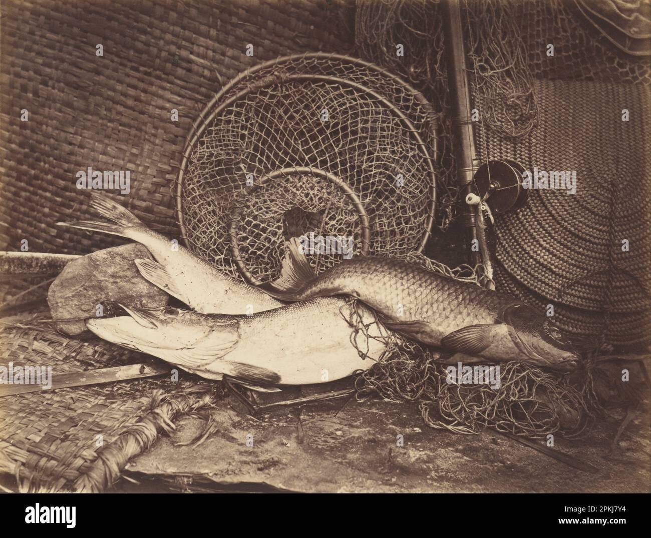 Still Life with Carp and Pike 1869 by Henry Bailey Stock Photo - Alamy