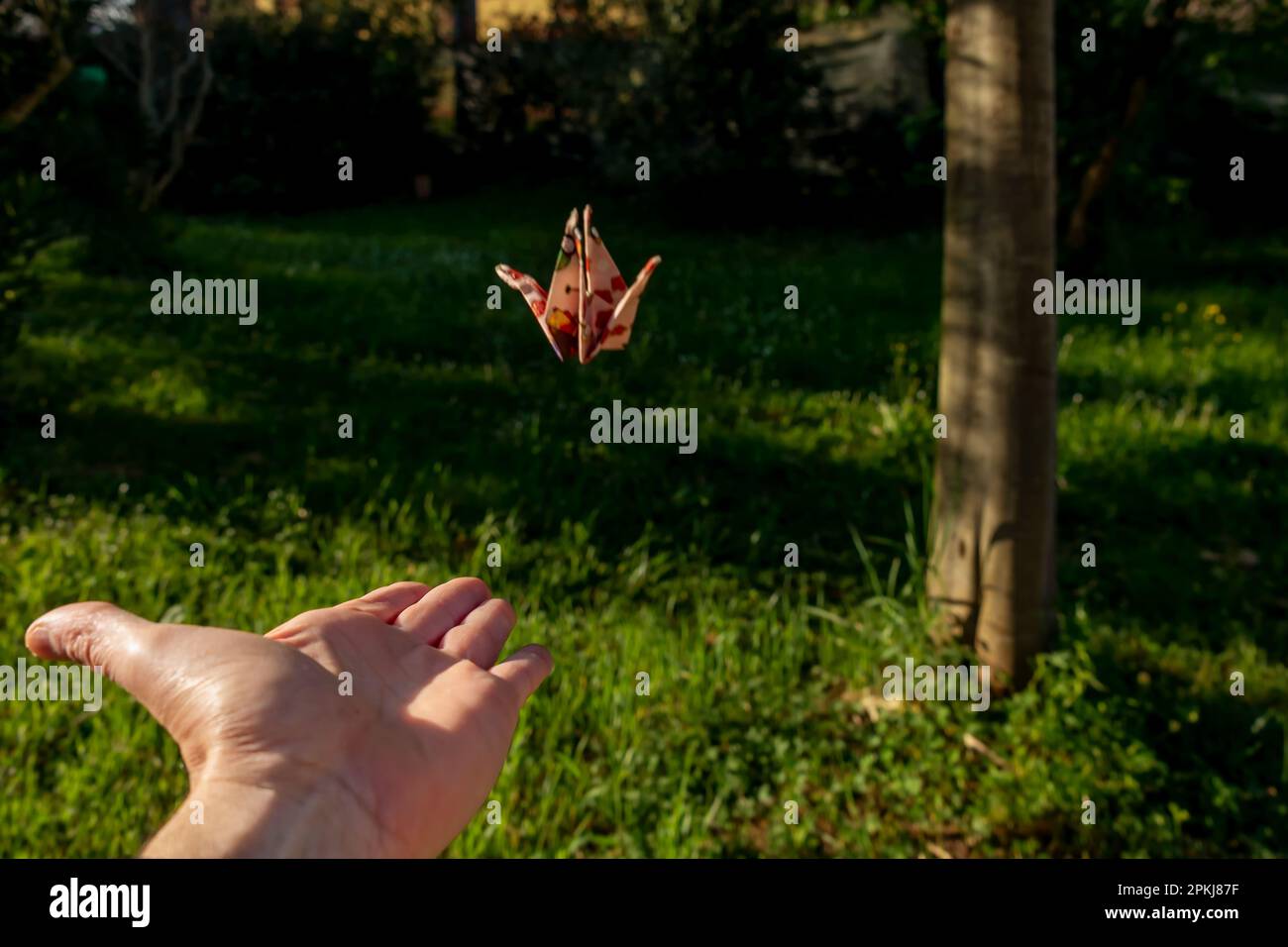 Origami flying bird hi-res stock photography and images - Alamy