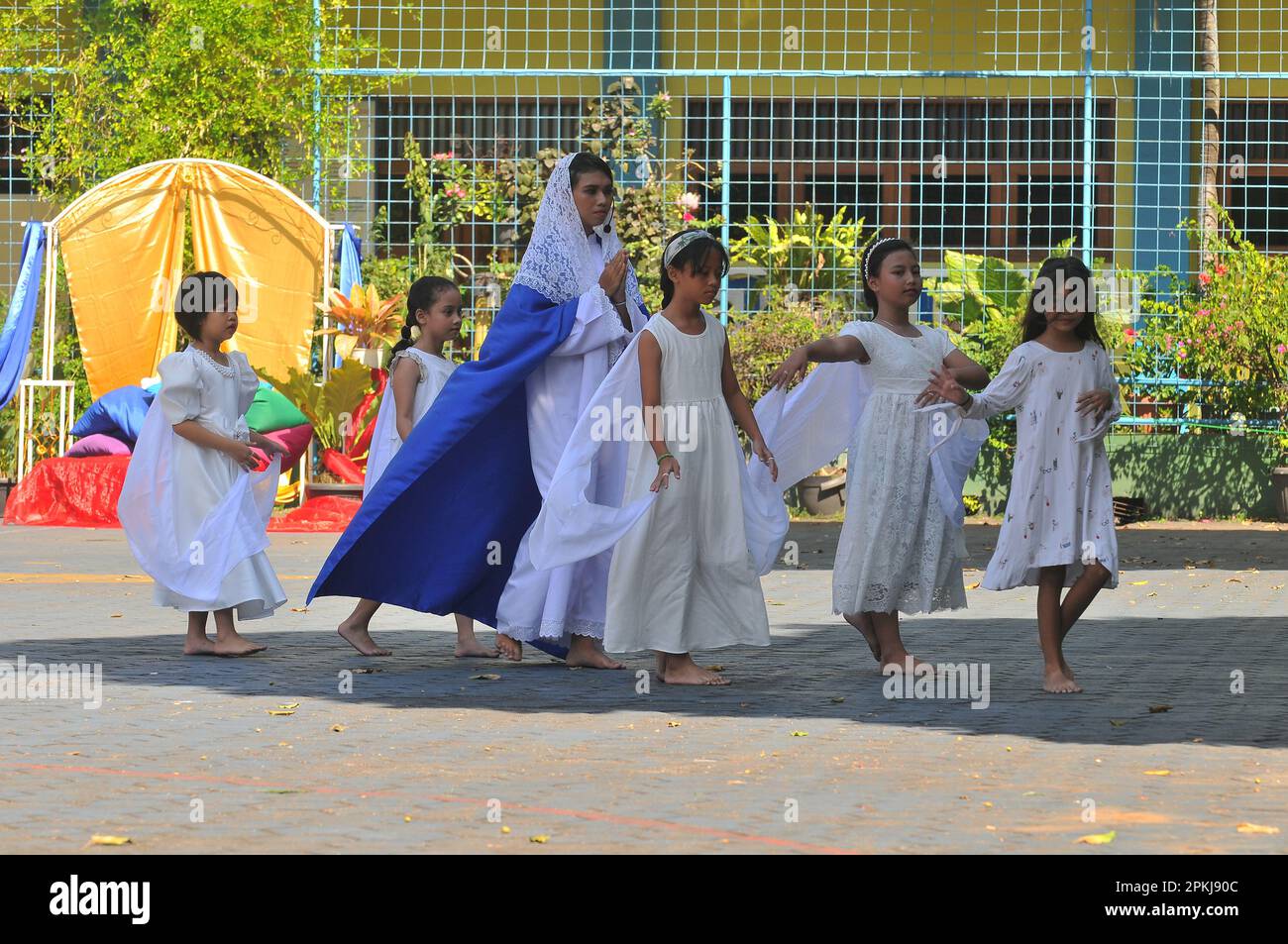 Bellarminus hi-res stock photography and images - Alamy