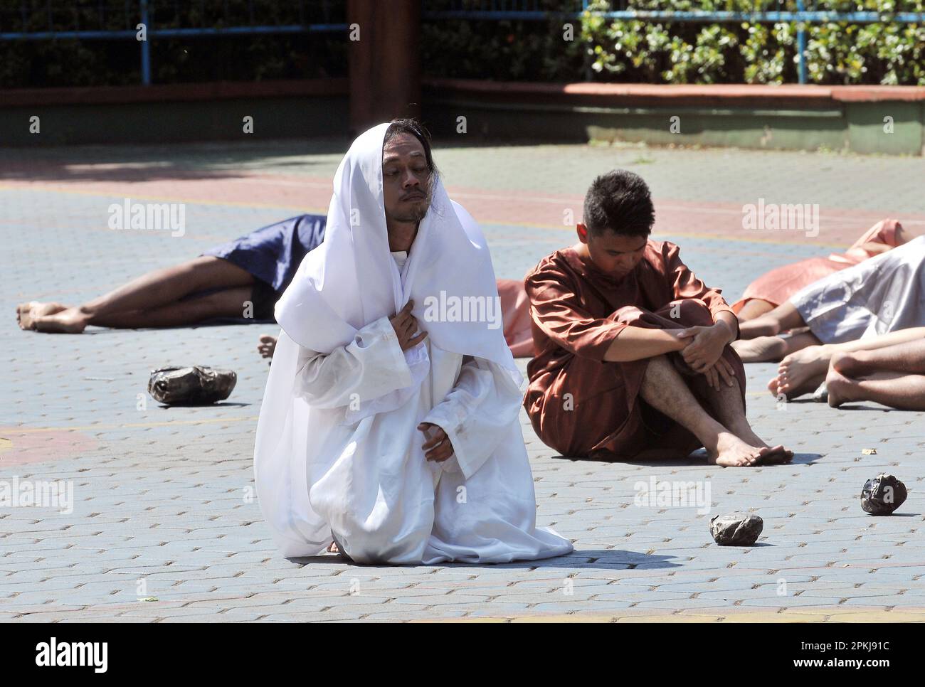 Bellarminus hi-res stock photography and images - Alamy