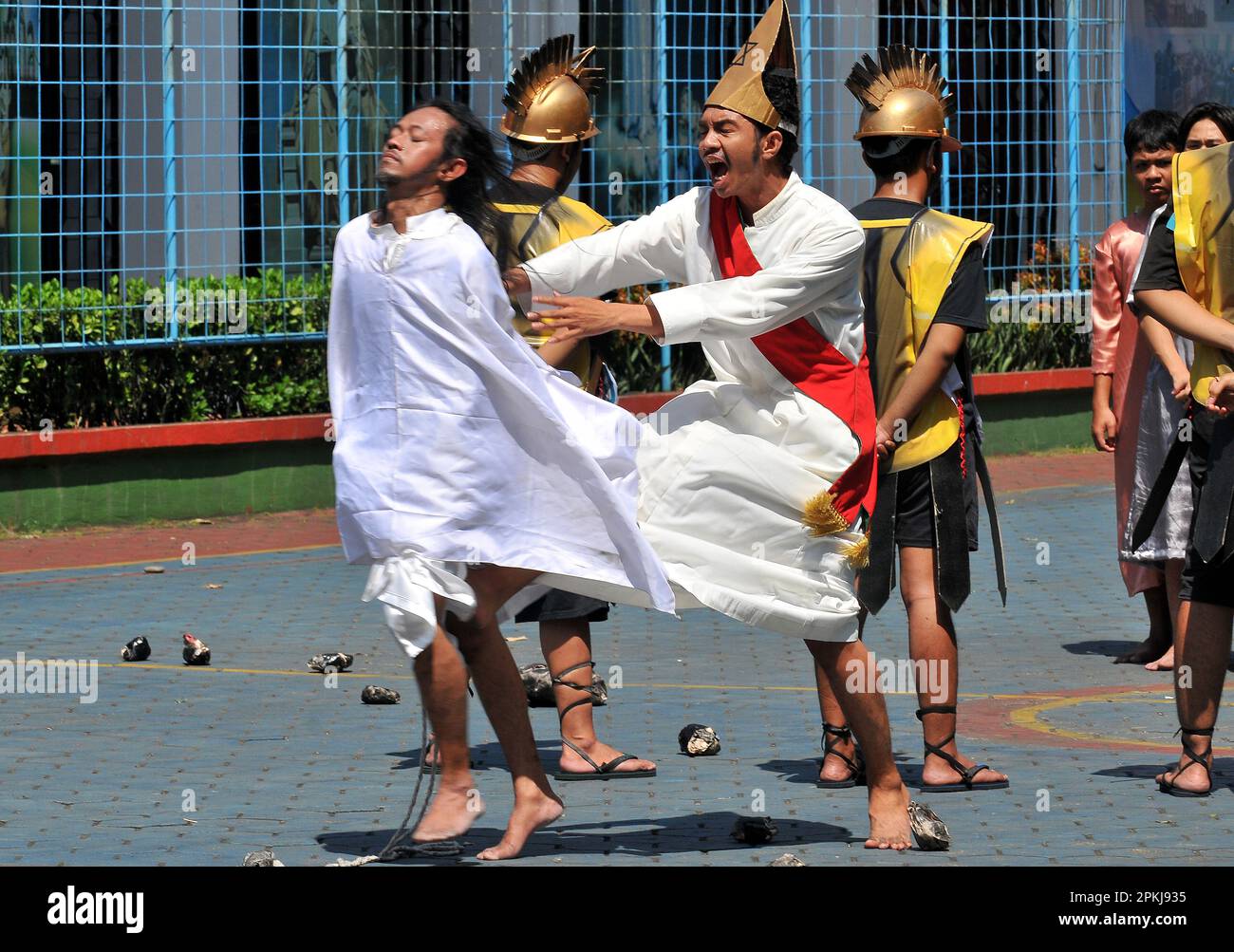 Bellarminus hi-res stock photography and images - Alamy