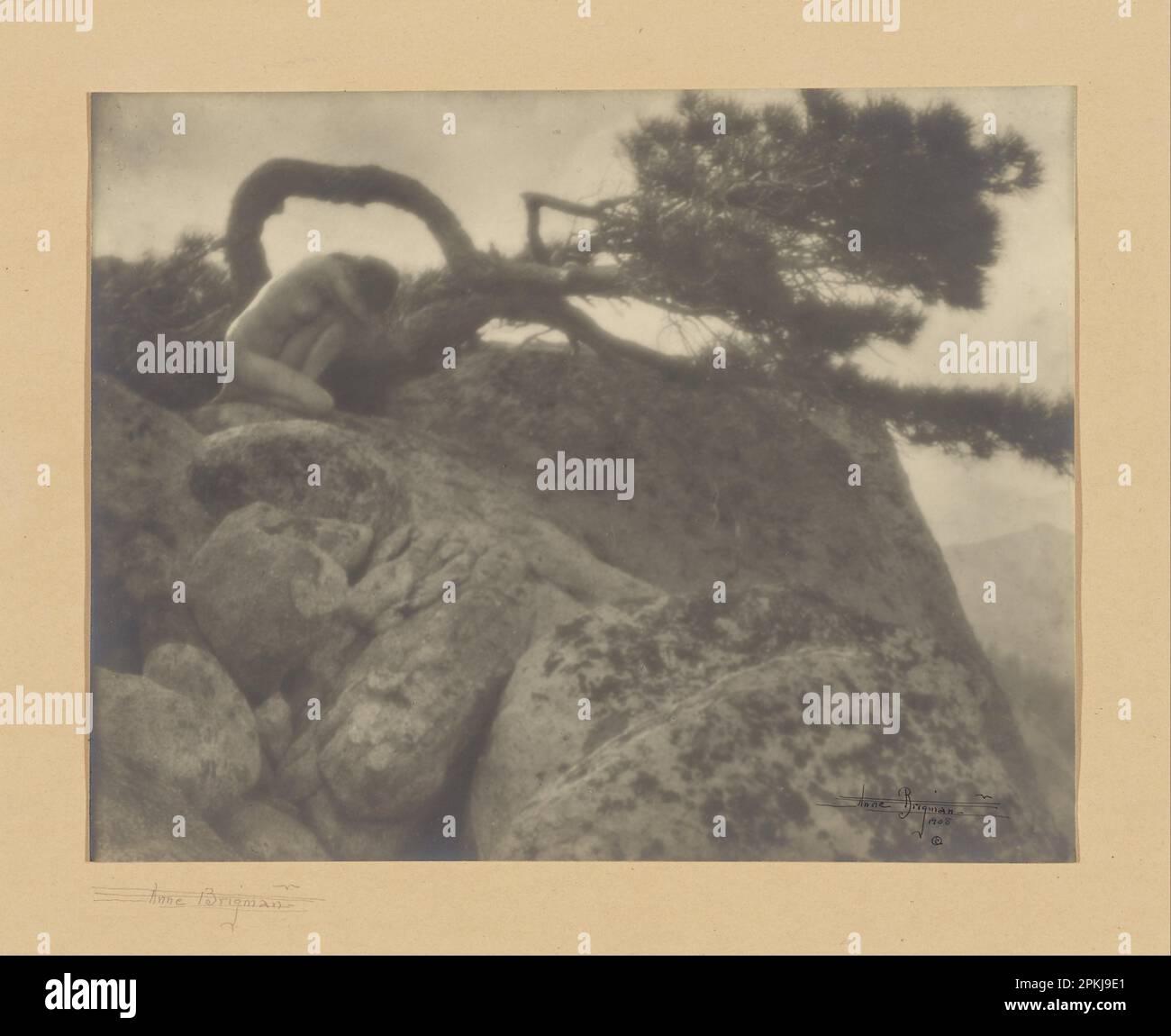 The Lone Pine] 1908 by Anne W. Brigman Stock Photo - Alamy