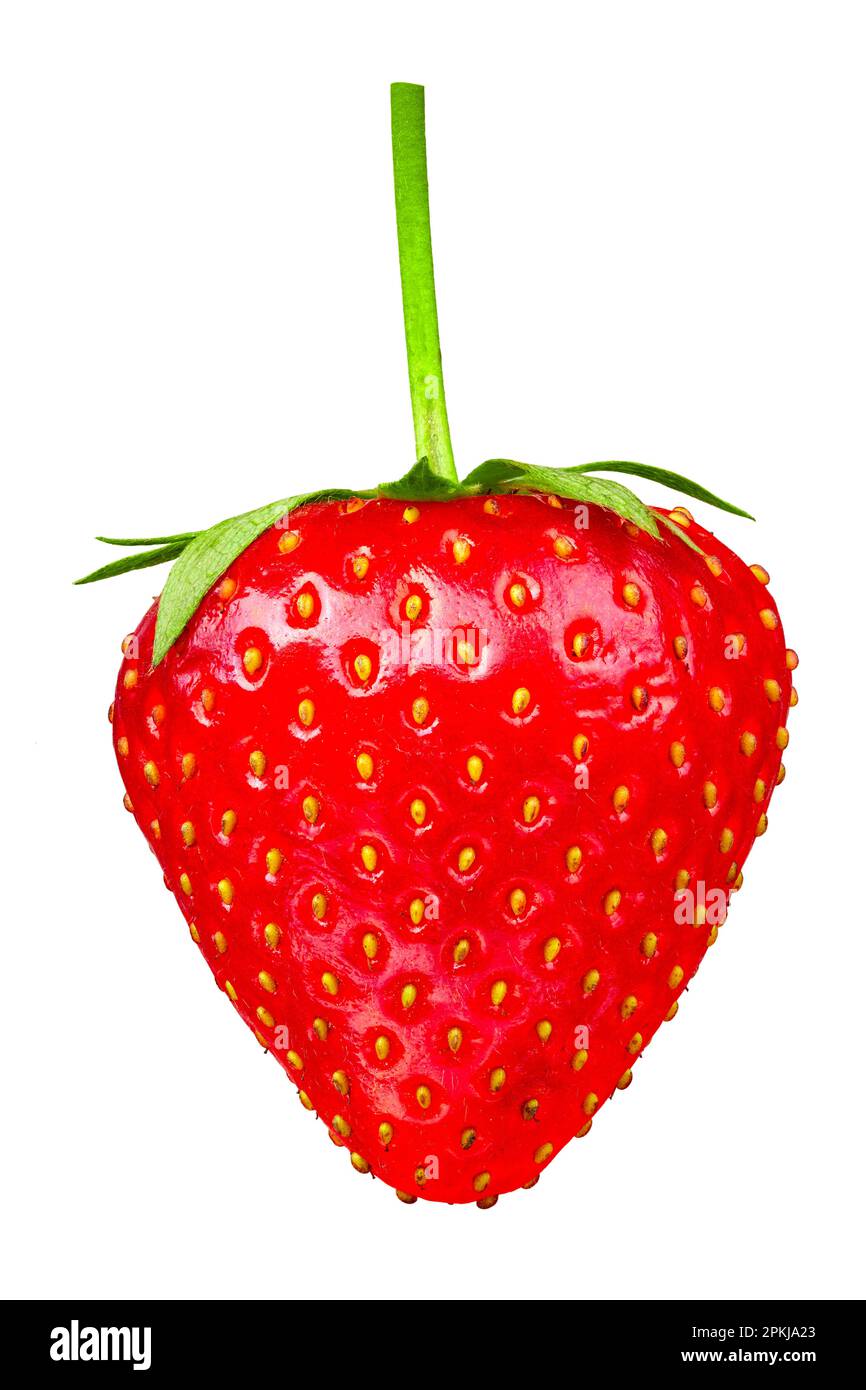 Fresh ripe strawberries. The structure of the berry is clearly visible ...