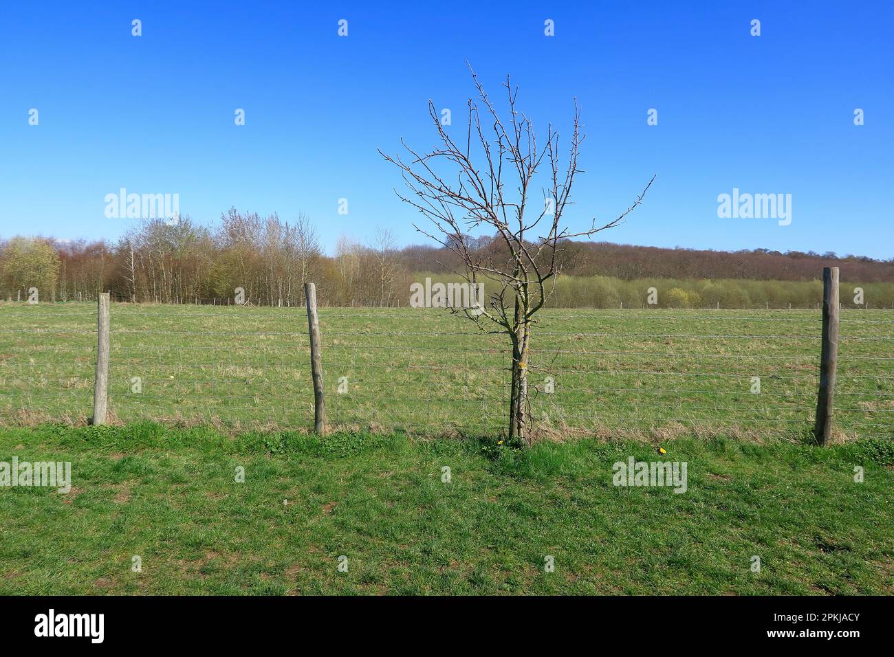 Land fenced off hi-res stock photography and images - Alamy