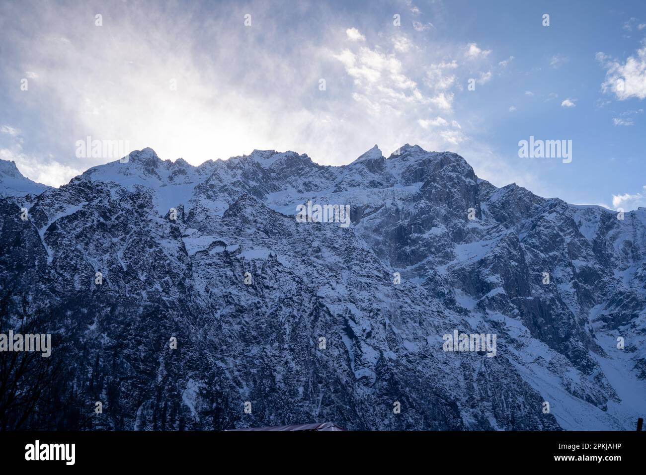 snow covered himalaya mountains with coniferous trees in front and a ...