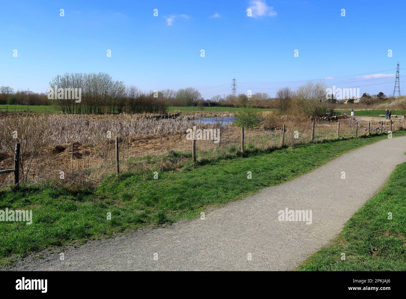 Henhurst Lake at Jeskyns in the North Kent countryside Stock Photo - Alamy