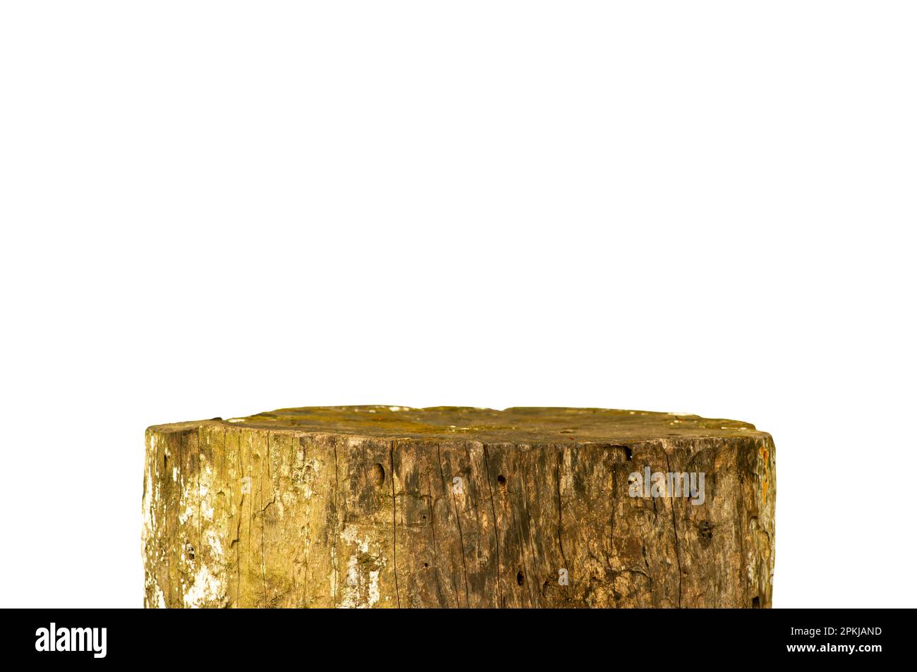 An old round wooden saw cut cylinder shape for product display ...