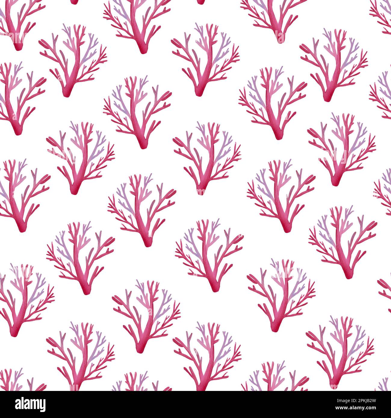 Corner Patterns Pink Coral